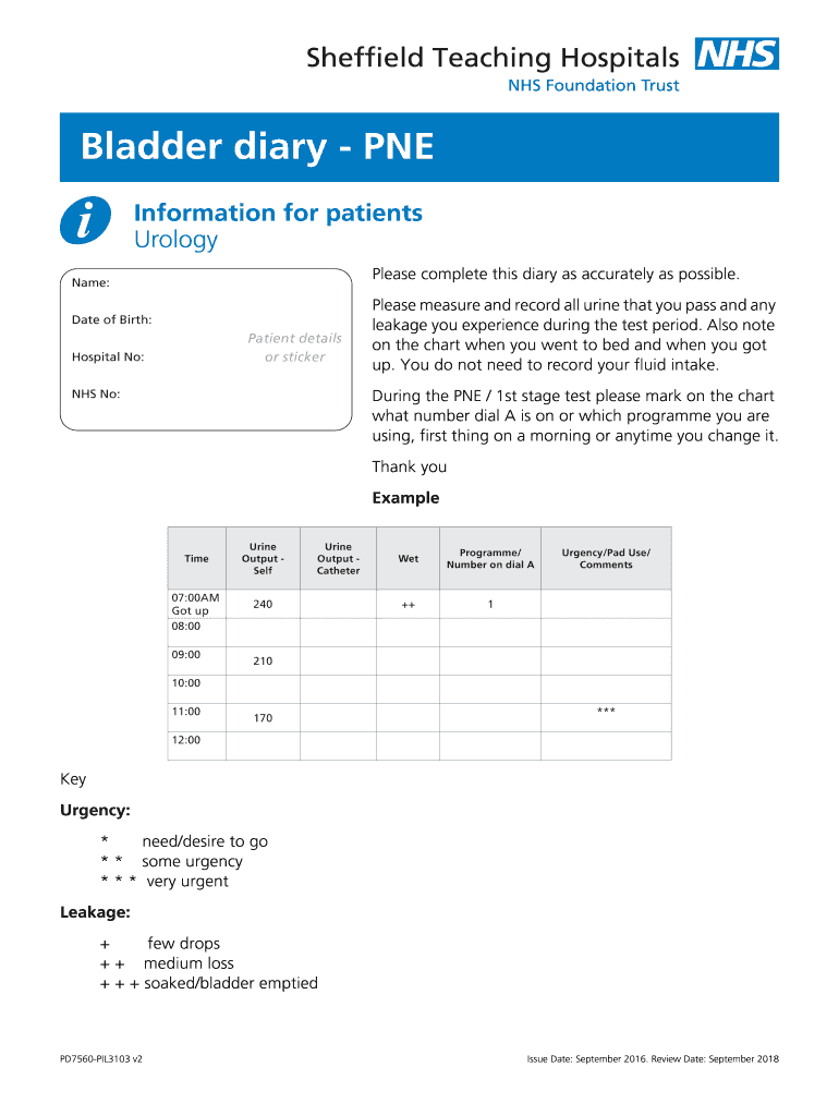 Fillable Online Bladder diary - PNE Fax Email Print - pdfFiller