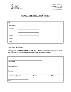 Fillable Online BANK AUTHORIZATION FORM - bBigGeyserb Fax Email Print ...