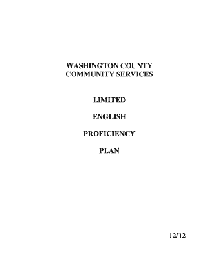 Fillable Online co washington mn Limited English Proficiency Plan ...