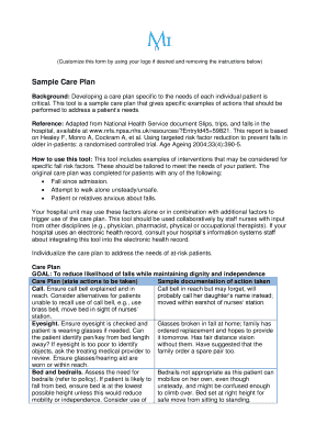 Fillable Online Sample Care Plan Fax Email Print - pdfFiller
