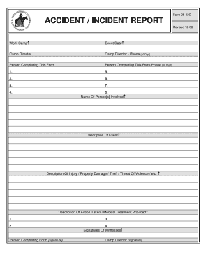 Fillable Online umarmy Form 05-43G ACCIDENT INCIDENT REPORT - UM Army ...