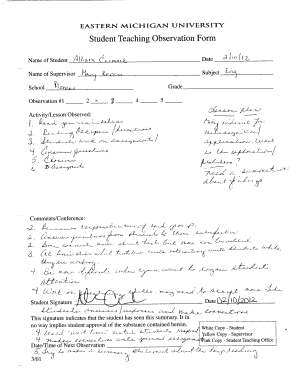Fillable Online Student Teaching Observation Form - Teaching Portfolio ...