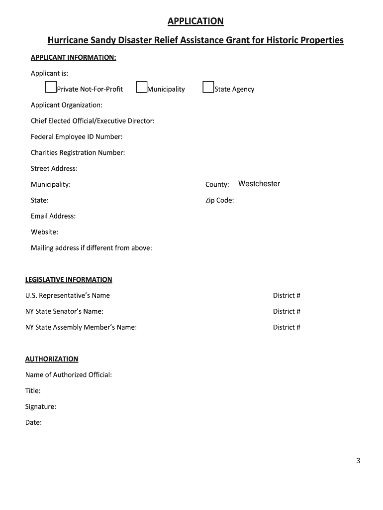 Fillable Online Hurricane Sandy Disaster Relief Assistance Grant Fax Email Print - pdfFiller
