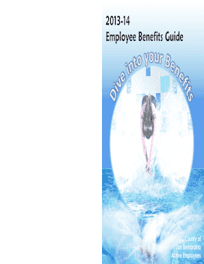 Fillable Online sbcounty 2013-14 Benefits Guide - San Bernardino County - sbcounty Fax Email ...
