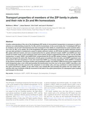 Mw506 - Fill Online, Printable, Fillable, Blank | pdfFiller