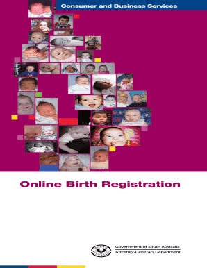 Fillable Online Online Birth Registration Fax Email Print - pdfFiller