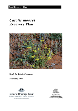 Fillable Online environment nsw gov Calotis moorei - Office of ...