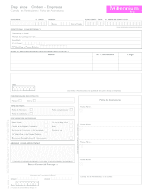 Fillable Online corp millenniumbcp 10053034.ai Fax Email Print - pdfFiller