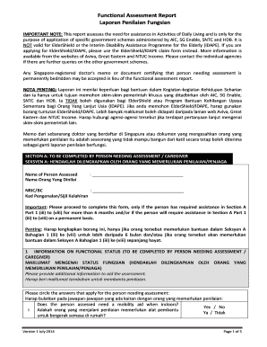 Fillable Online primarycarepages Functional Assessment Report Laporan ...