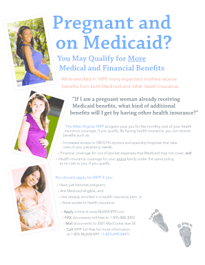 Fillable Online IR-T12 Decision report template (short-form) Fax Email ...