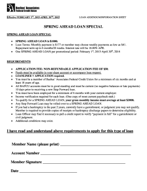 Fillable Online LOAN ADDENDUM/INFORMATION SHEET Fax Email Print - pdfFiller
