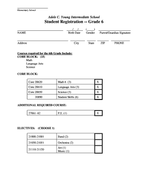 Acyi Besd - Fill Online, Printable, Fillable, Blank | pdfFiller