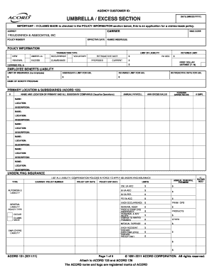 Fillable Online Umbrella-Excess bApplicationb Fax Email Print - pdfFiller
