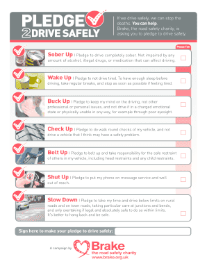Fillable Online brake org If we drive safely, we can stop the deaths ...