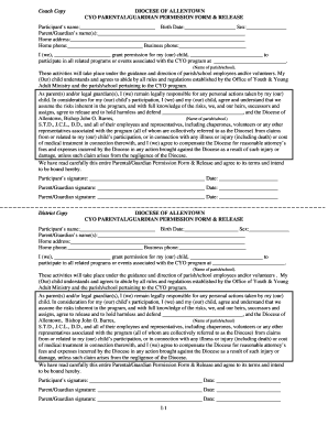 Fillable Online Diocesan CYO Waiver Form Fax Email Print - pdfFiller
