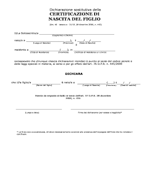 Fillable Online comune fiumicino rm gov Dichiarazione sostitutiva della ...