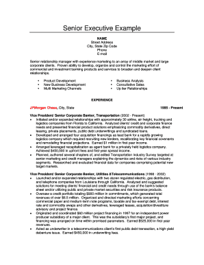 Fillable Online merrickjc Senior Executive Example - merrickjcorg Fax ...