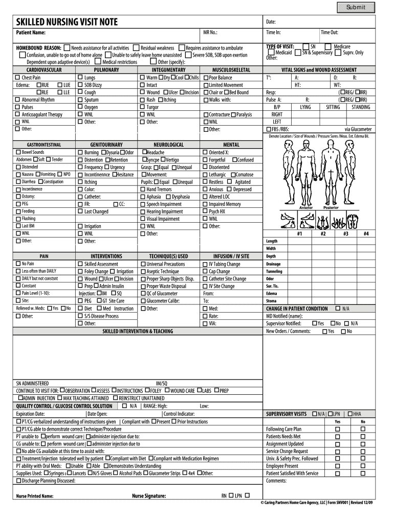 Skilled Nursing Visit Note Form 2020 Fill And Sign Printable Template Online US Legal Forms