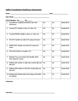 Fillable Online Agility Foundations Readiness Assessment Fax Email ...