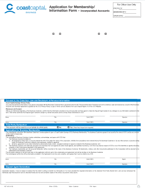 Fillable Online Information Form Incorporated Accounts Fax Email Print ...