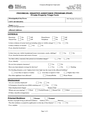 Fillable Online Triage Assessment Form - 2011 - revised - City of ...