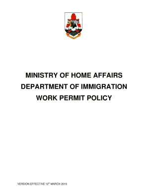 Fillable Online WORK PERMIT POLICY Fax Email Print - pdfFiller