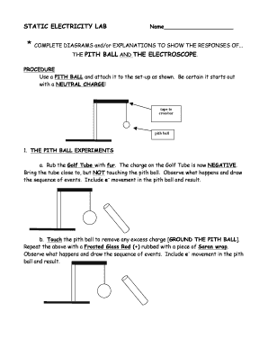 Fillable Online STATIC ELECTRICITY LAB THE PITH BALL AND THE ...