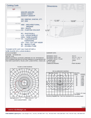 Fillable Online rabdesign RDISpecSheetFrontWP LARGE WALL PACK - RAB ...