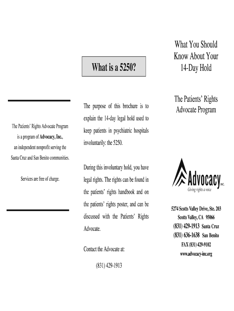 fillable-online-what-is-a-5250-fax-email-print-pdffiller