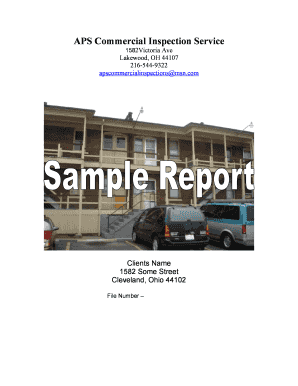 Fillable Online APS Commercial Inspection Service Commercial Report Fax ...