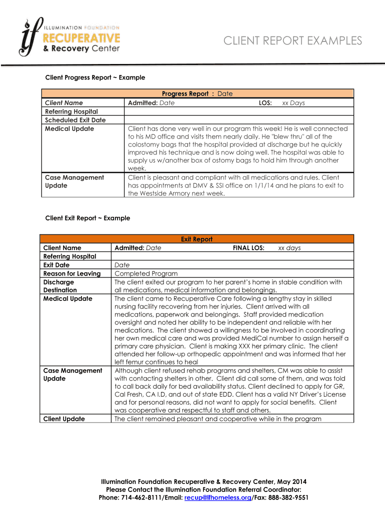 Fillable Online CLIENT REPORT EXAMPLES Fax Email Print - pdfFiller