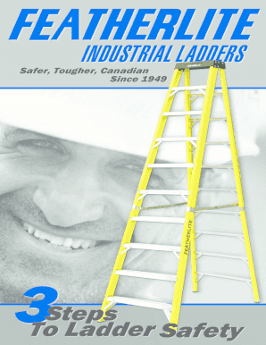 Fillable Online 3 Steps to Ladder Safety (English Version ...