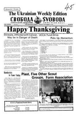 Fillable Online rpu resume rebate application form Fax Email Print ...