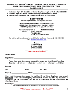 Fillable Online User Electronic Mail Authorization Form Patient Portal ...