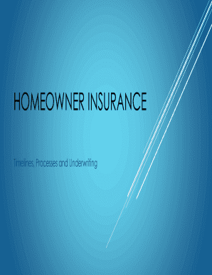 Fillable Online HOMEOWNER INSURANCE Fax Email Print - pdfFiller