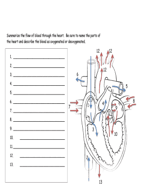 Fillable Online Summarize the flow of blood through the heart. Be ...
