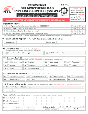 Fillable Online SNGPL Form Fax Email Print - pdfFiller