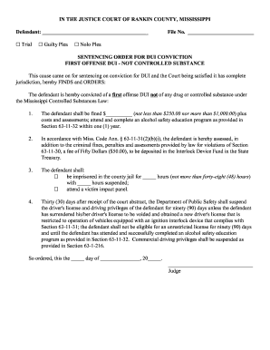 Fillable Online SENTENCING ORDER FOR DUI CONVICTION FIRST OFFENSE DUI ...