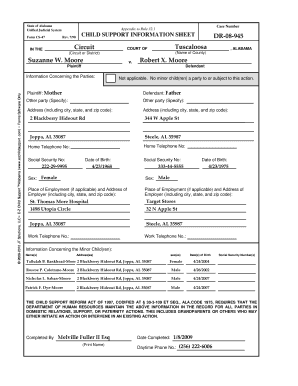 Fillable Online State of Alabama Case Number CHILD SUPPORT INFORMATION ...