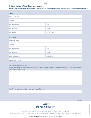 Remplissable En Ligne D claration d'accident corporel - Pantaenius Monaco Fax Email Imprimer ...