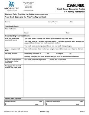 Fillable Online Second Periodic Verification of the Registered JI ...