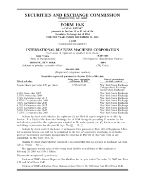 Fillable Online SECURITIES AND EXCHANGE COMMISSION FORM 10-K - ibm.com ...