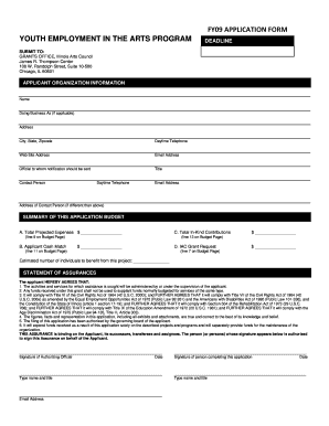 Fillable Online Youth Employment bApplicationb 2008pdf Fax Email Print ...