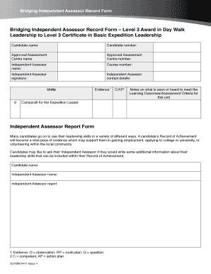 Fillable Online Bridging Independent Assessor Record Form - Sports ...