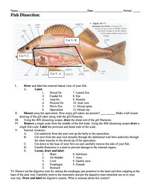 Fillable Online An Illustrated Guide to the Dissection of the - Mr.E ...