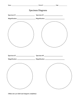 Fillable Online Specimen Diagramsdoc Fax Email Print - pdfFiller