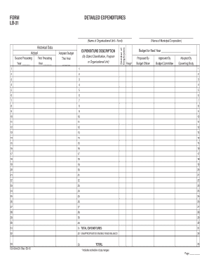 Fillable Online DETAILED EXPENDITURES FORM LB-31 Fax Email Print ...