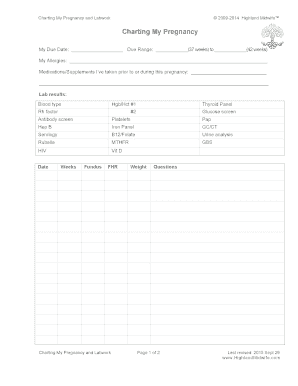 Fillable Online Charting My Pregnancy Labwork in Pregnancy A form to help you chart the course ...