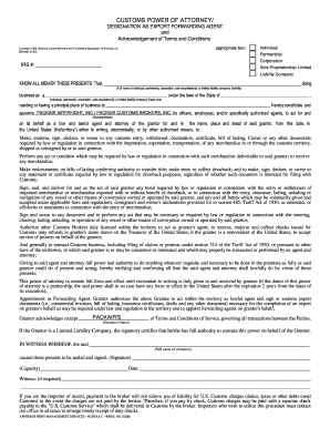 Fillable Online CUSTOMS POWER OF ATTORNEY/ DESIGNATION AS EXPORT ...