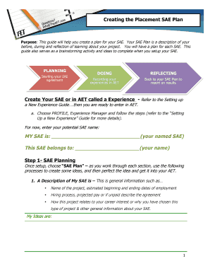 Fillable Online SAE Plan - Placement.docx Fax Email Print - pdfFiller